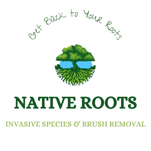Native Roots Removal Services